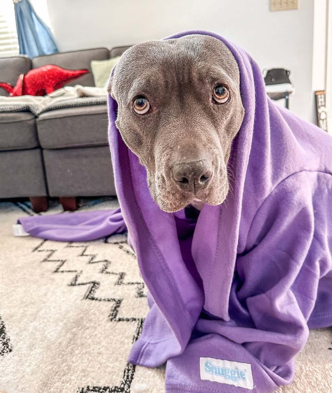 The Original Snuggie® – Snuggie Store
